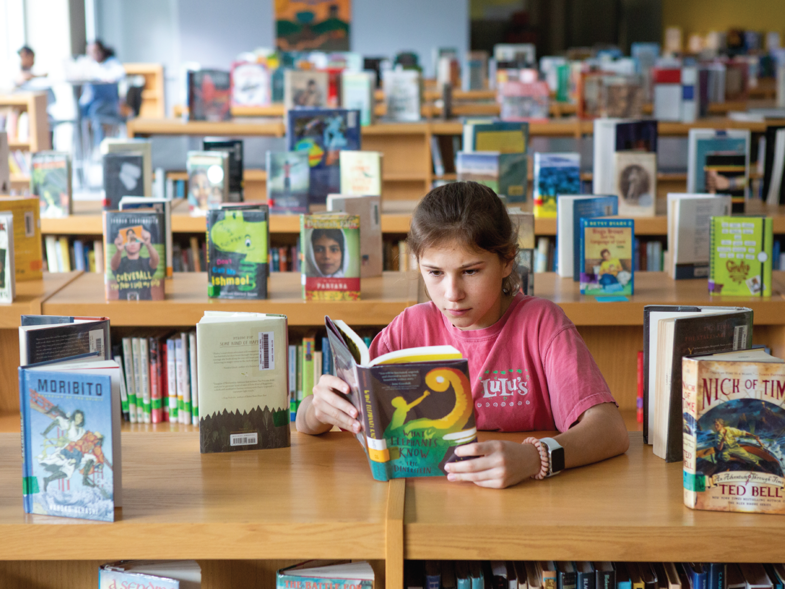 The Science of Reading - Professional Learning & Support | Literacy ...