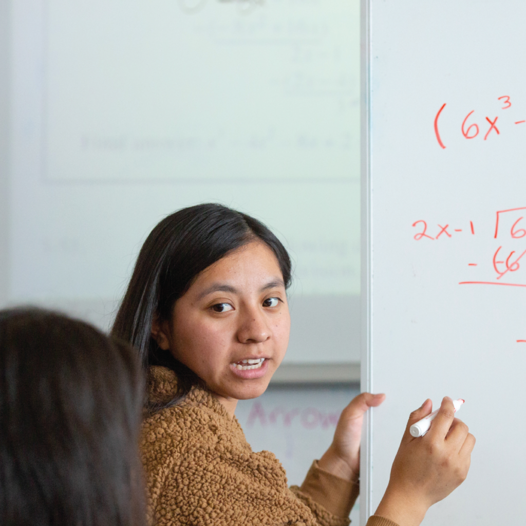 Rise in Math - Professional Learning & Support | Literacy, Math, Curriculum